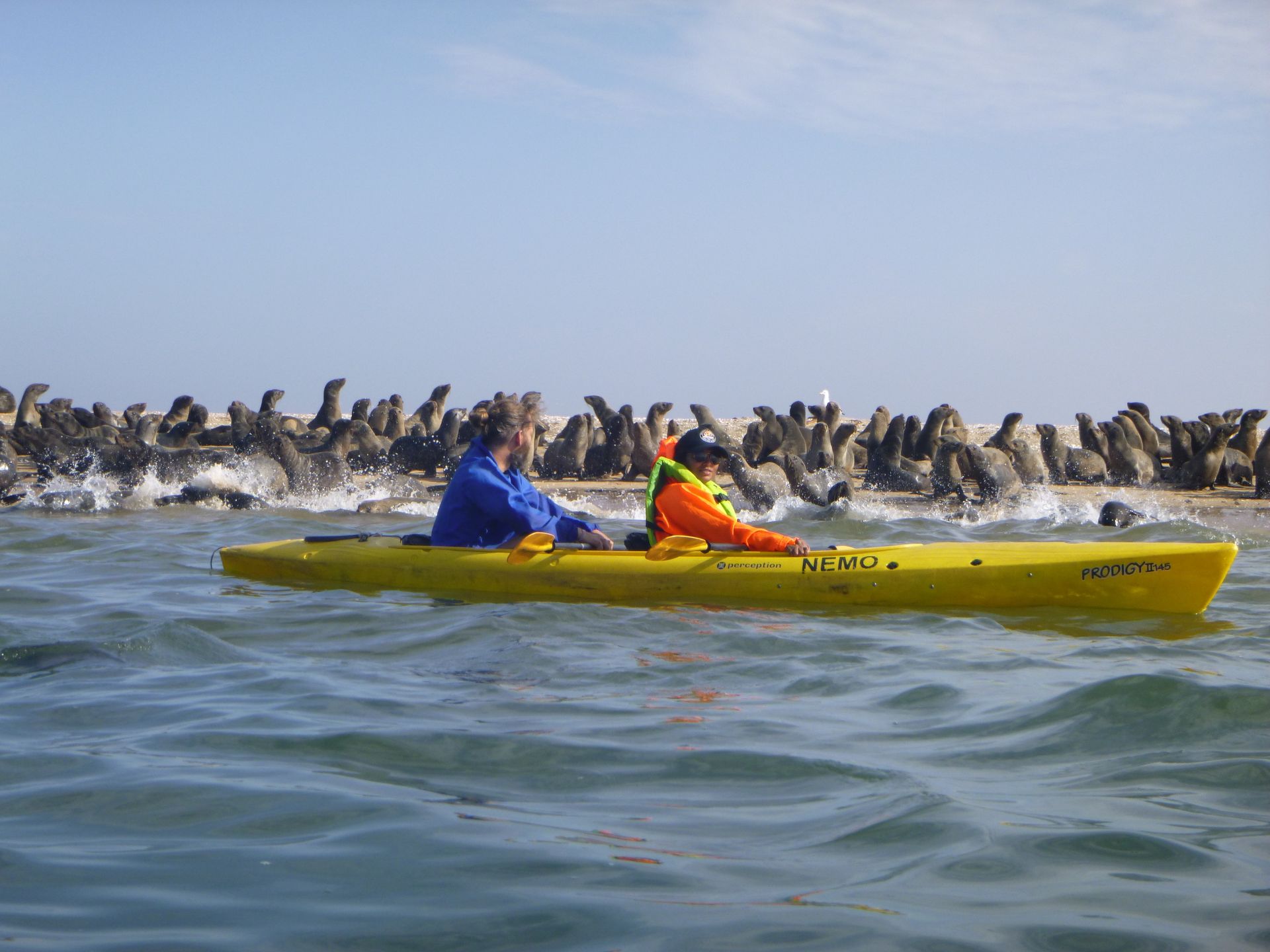 Kayak Sand Combo | Sandwich Dune Tours and Safari